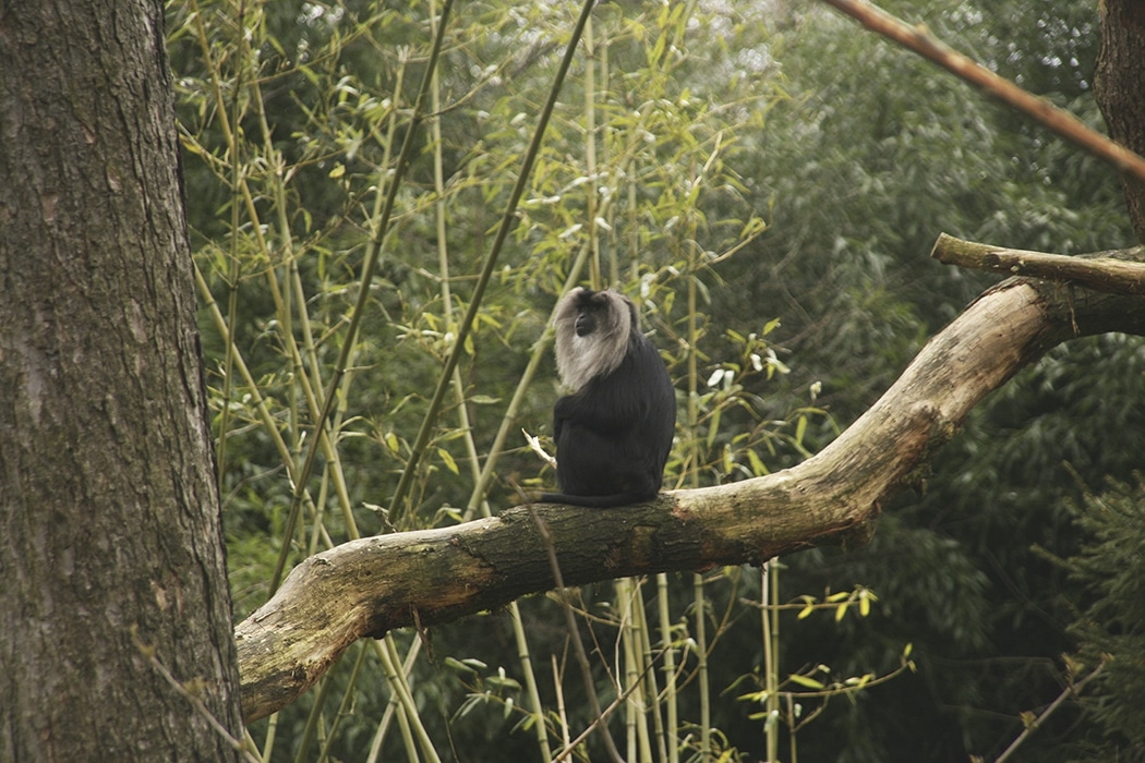 Wat te doen in Apeldoon? De hotspots!