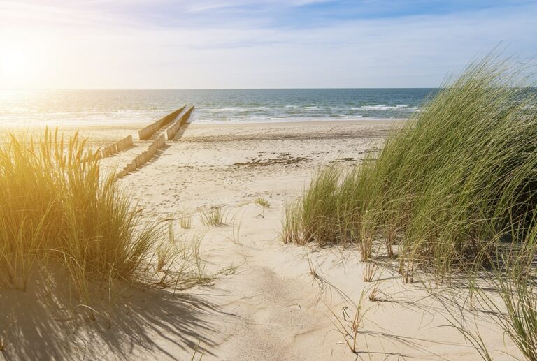 Voilà! De 10 mooiste Zeeuwse stranden