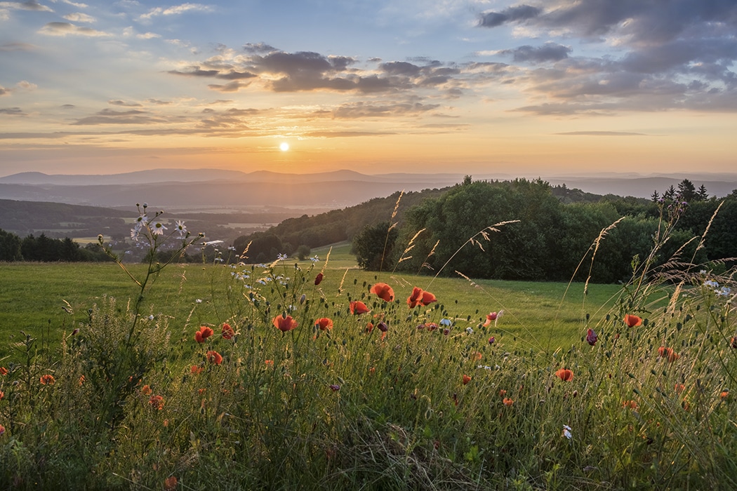 Wat te doen in Hessen? Dé 20 mooiste plekjes + vakantie-tips