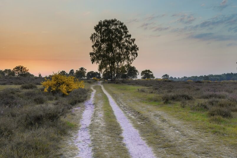 De 10 mooiste natuurgebieden in Nederland
