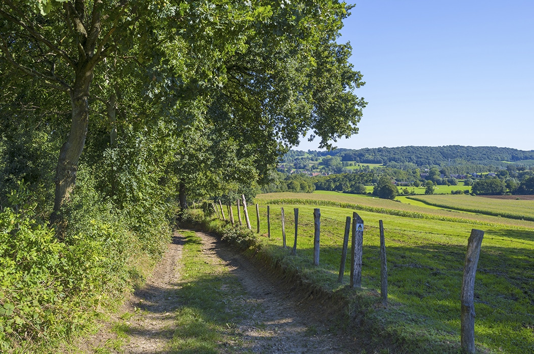 De mooiste Zuid-Limburgse dorpjes - die je bezocht moet hebben