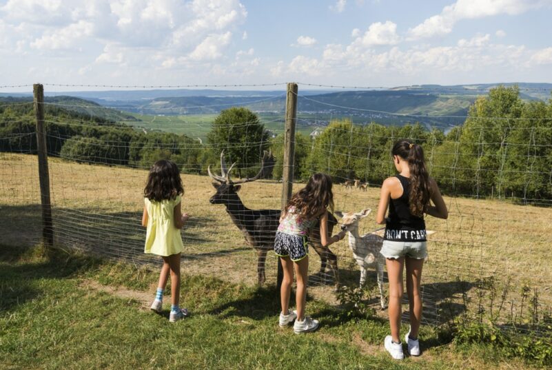 Landal in Duitsland? Dít zijn de mooiste Landal parken!