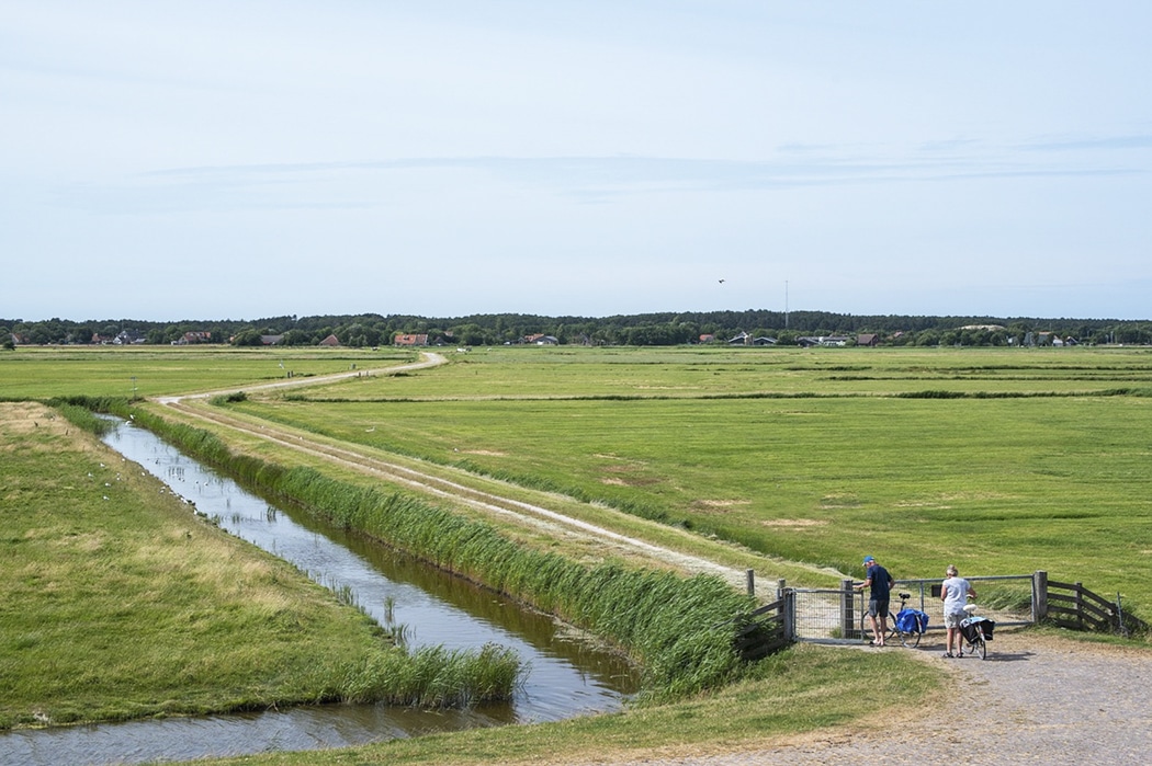 Fiets de Elfstedentocht! Route, arrangementen + 11 steden